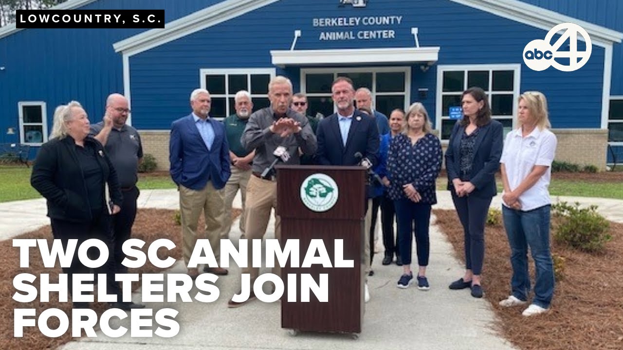 'A perfect fit;' Local shelters unite to tackle rising animal ...