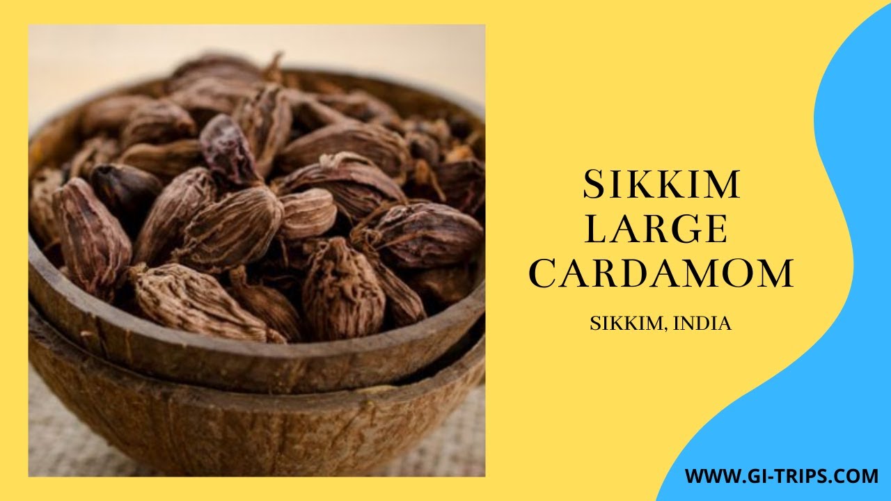 Sikkim Large Cardamom | GI-TRIPS | Buy Now| Check Description | Rural ...