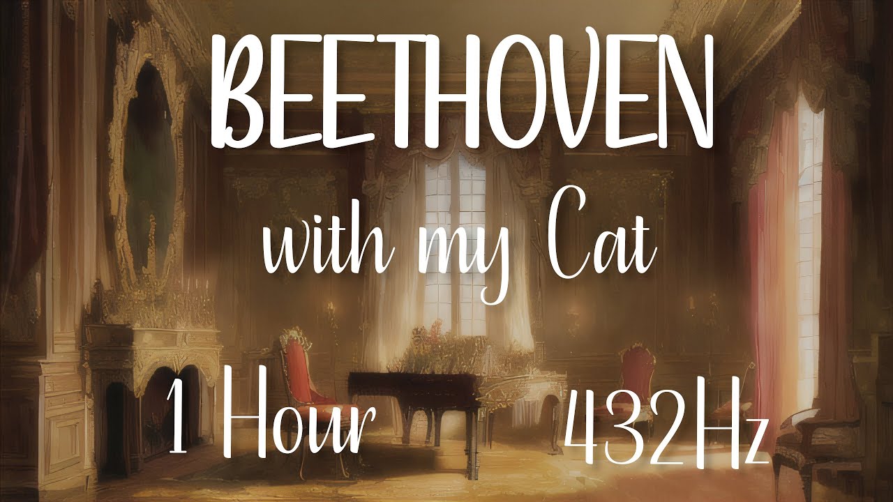 Best Of Classical Piano Solo & Cat - Ludwig van Beethoven Rondo op. 51 ...