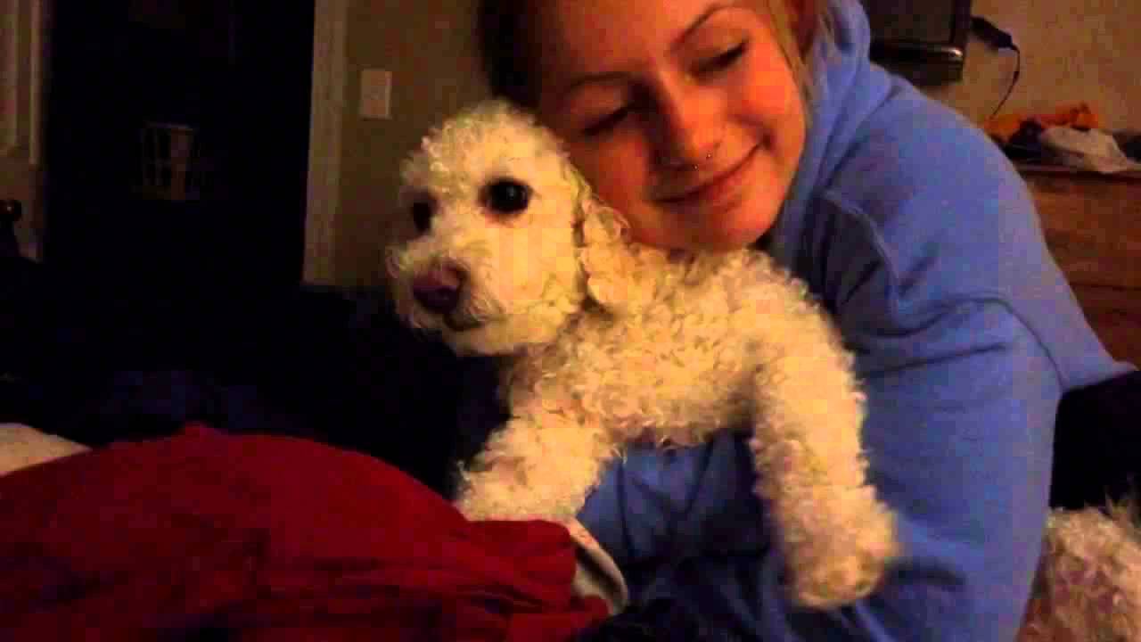 Grumpy muppet - YouTube