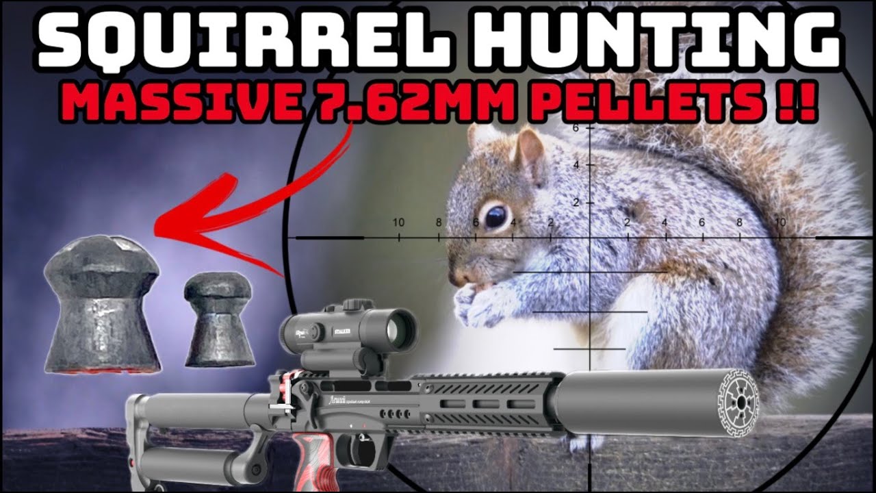 Squirrel Hunting (Massive 7.62mm Pellets!) - YouTube