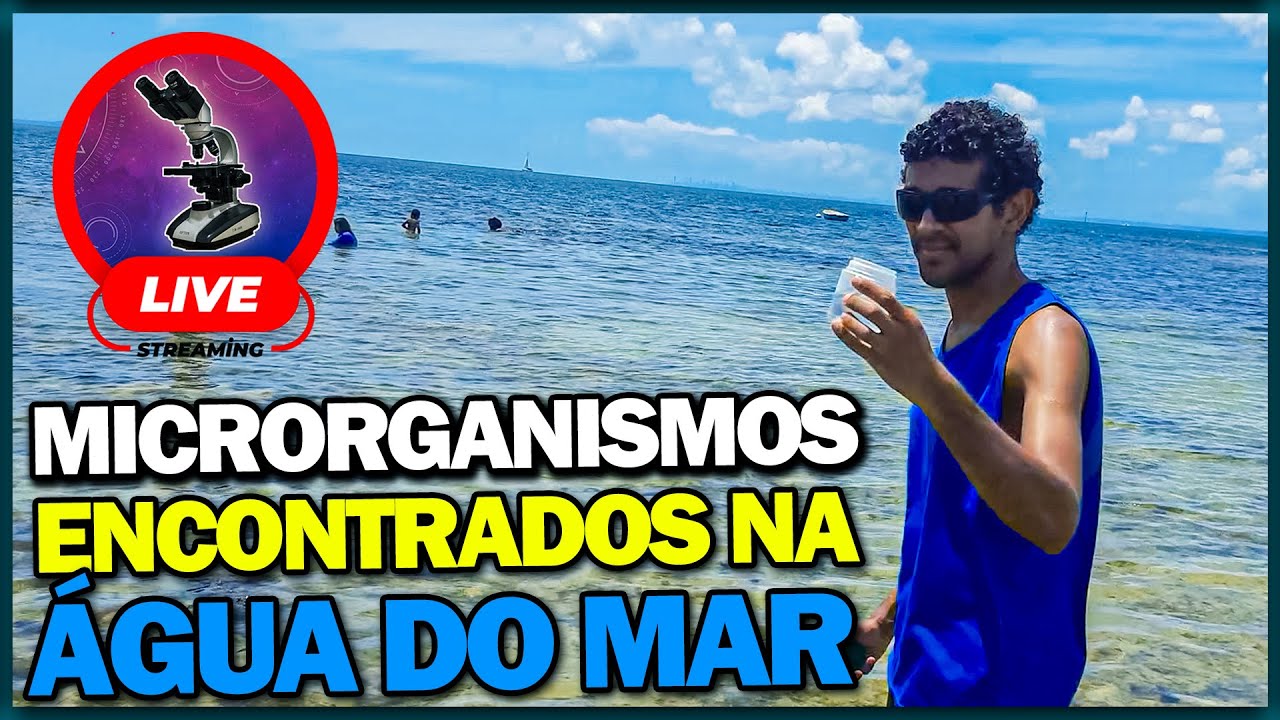 Analisando água do mar no microscópio! - YouTube
