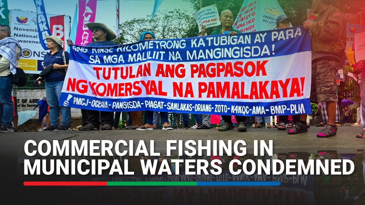 Commercial fishing in municipal waters condemned | ABS-CBN News - YouTube