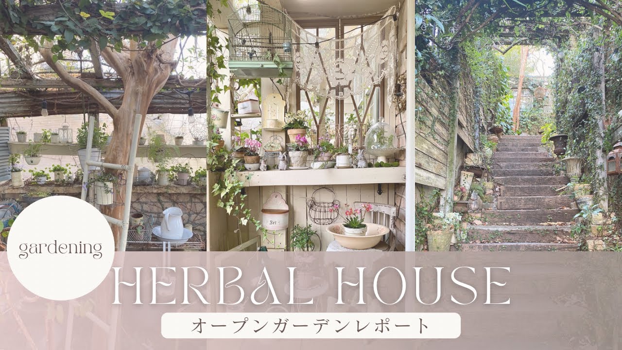 冬のHerbal house訪問！オープンガーデンレポート - YouTube