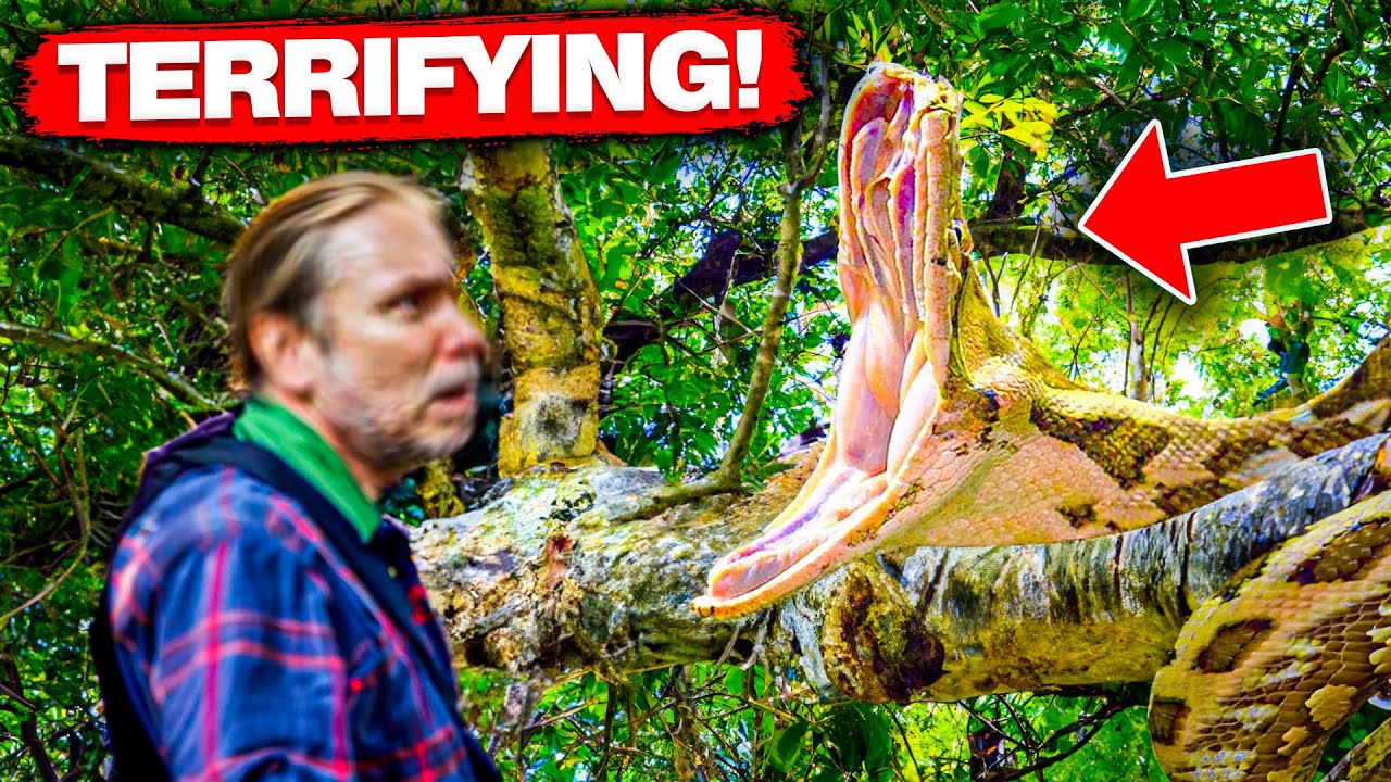 The TERRYFING Last Moments Of Herpetologist Joseph Slowinski - YouTube