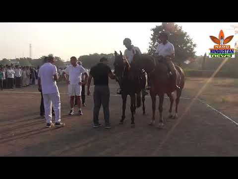 NAMO HINDUSTAN NEWS AMRELI RUN FOR UNITY - YouTube