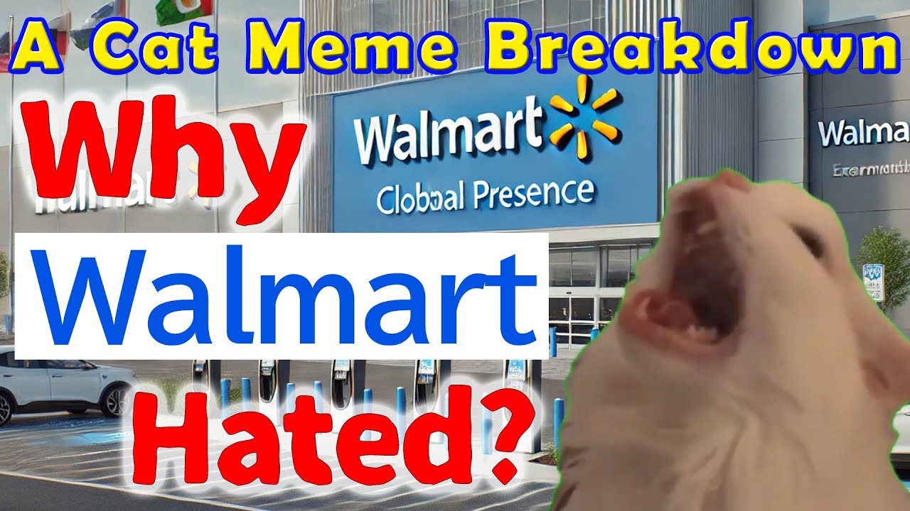 Why People Hate Walmart – A Cat Meme Breakdown - YouTube
