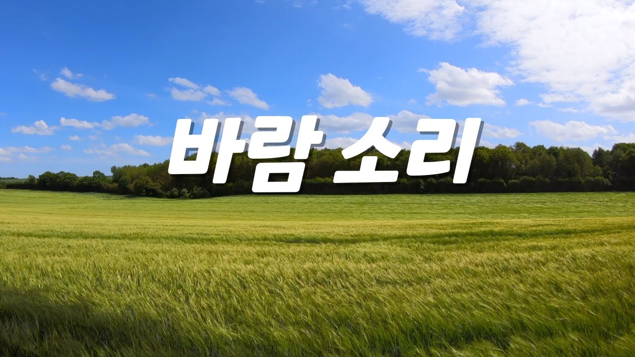 바람 소리 드넓은 들판에 불어오는 시원한 바람소리 8시간 힐링 백색소음 Youtube