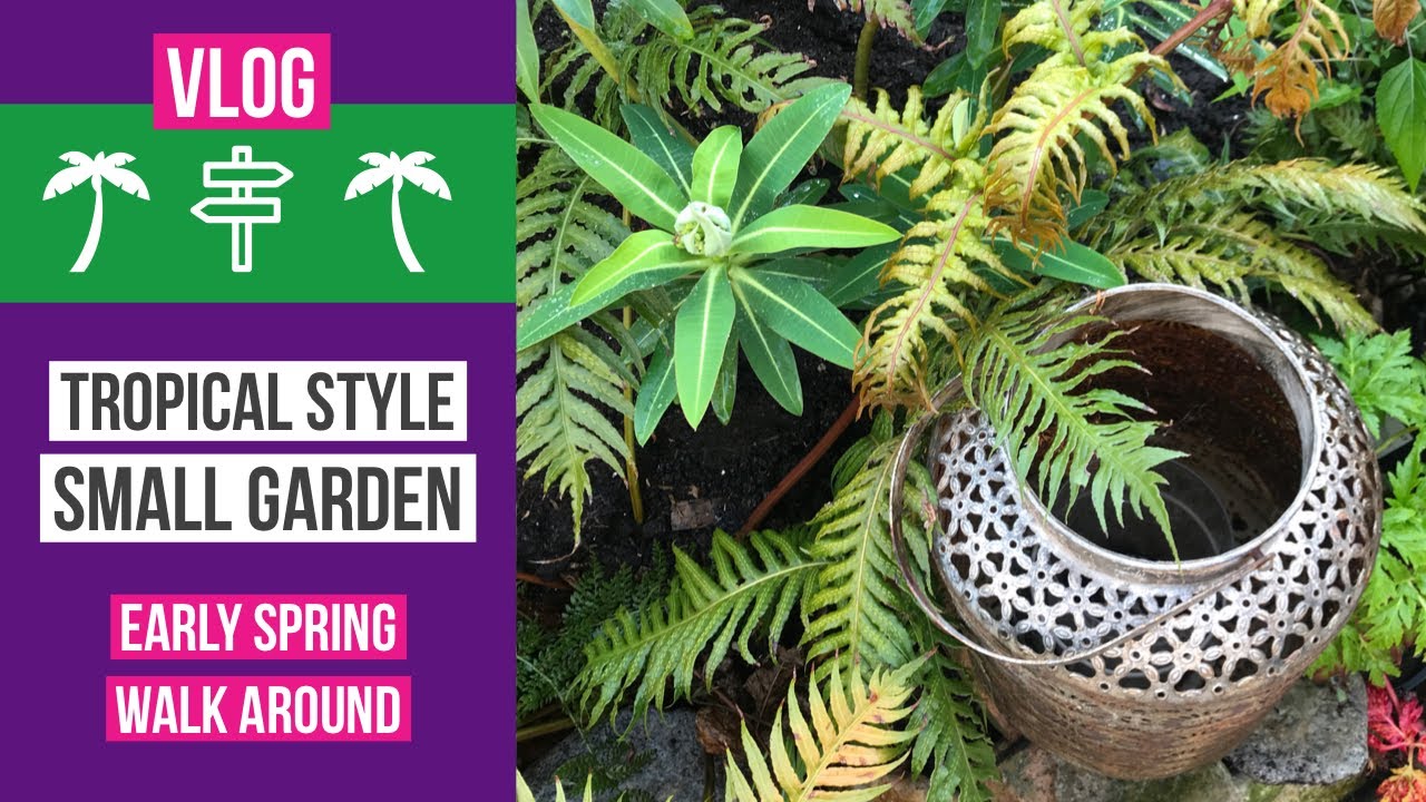 Small UK tropical style garden in early spring - YouTube