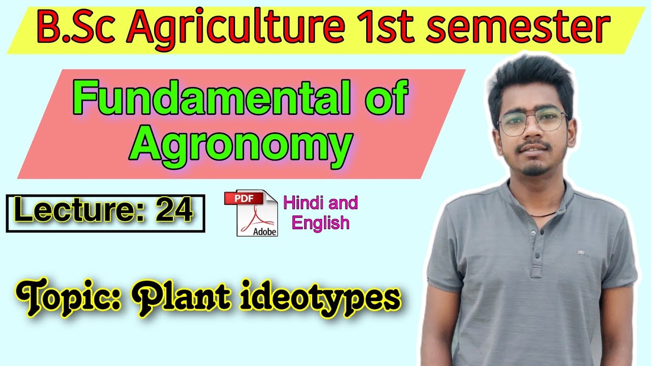 Plant Ideotype | Plant Ideotype concept| types of ideotype| Features of ...