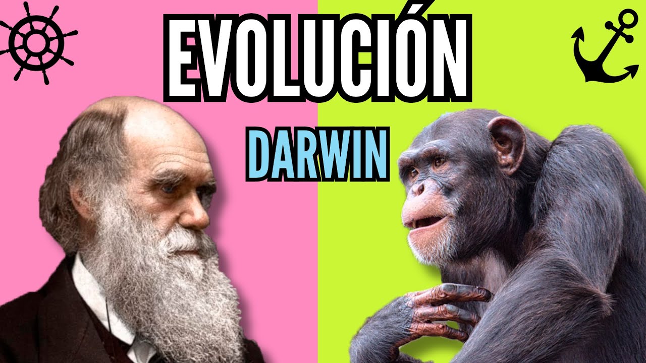 🐍 DARWIN y la EVOLUCIÓN 🐥 teoría de especies por selección natural de ...