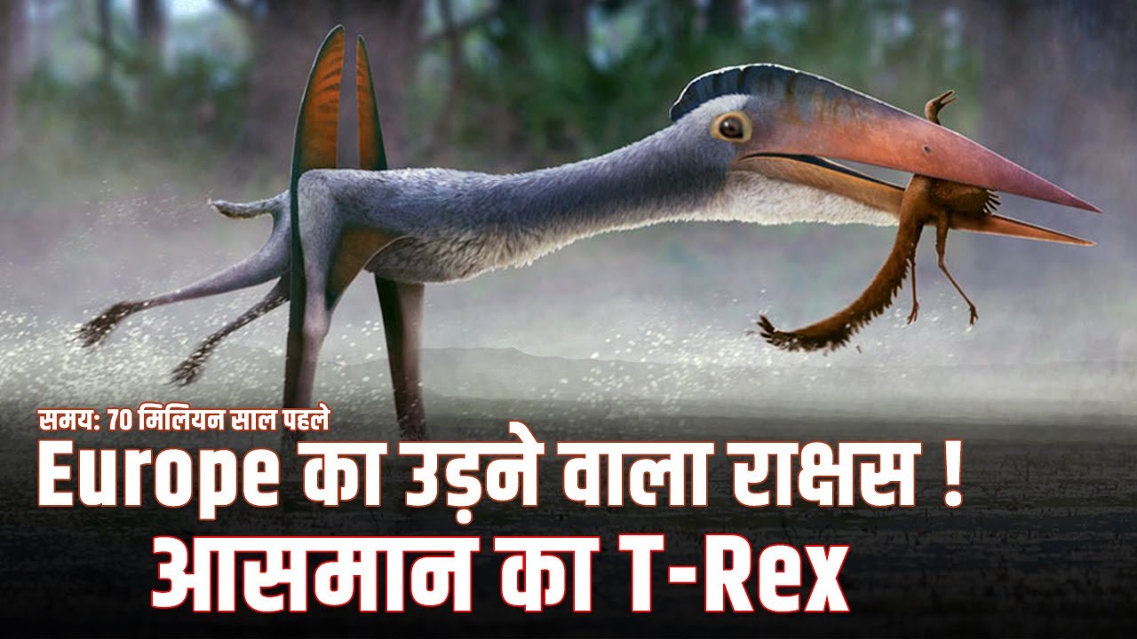 When a Giant Pterosaur Ruled the European Islands - YouTube