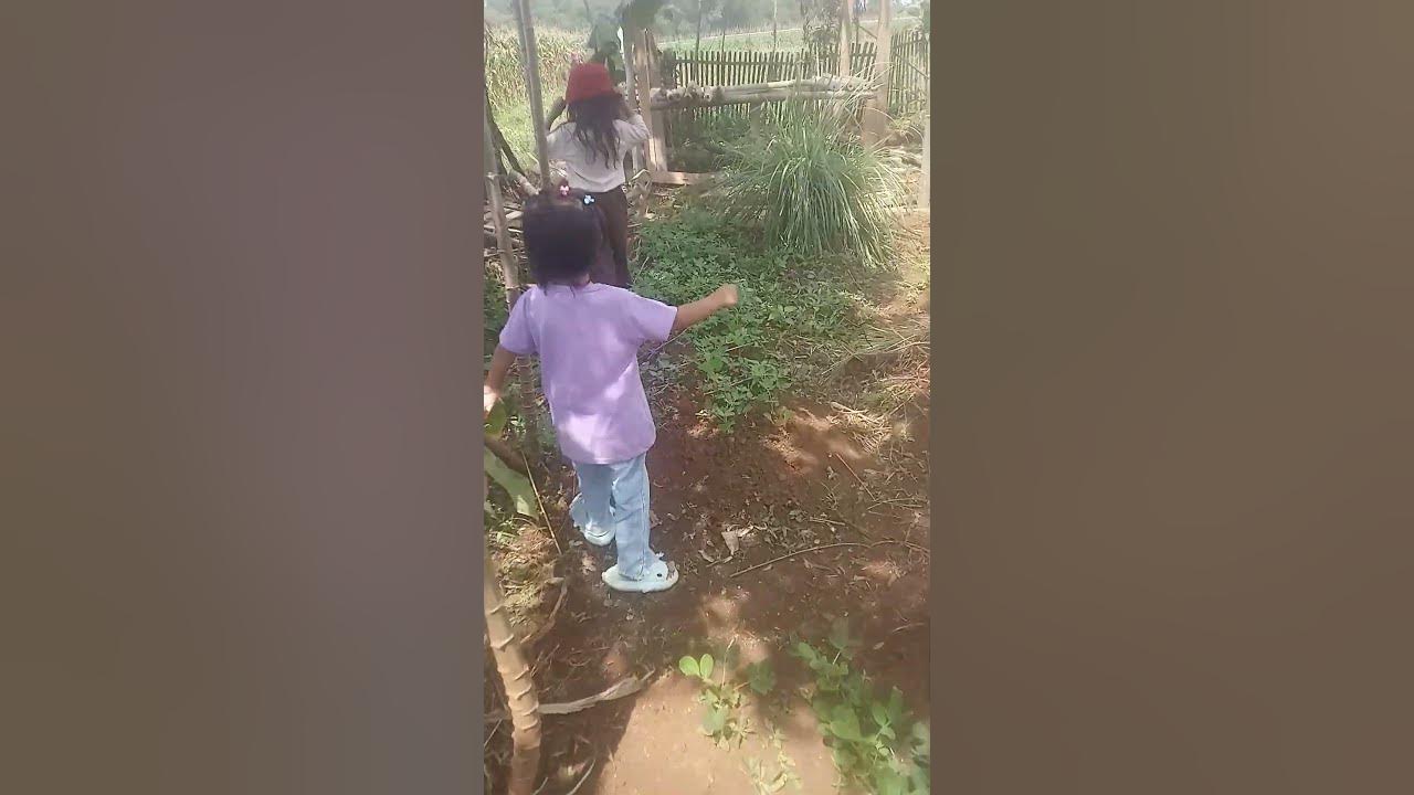 berburu harta karun di kebun #lucu - YouTube