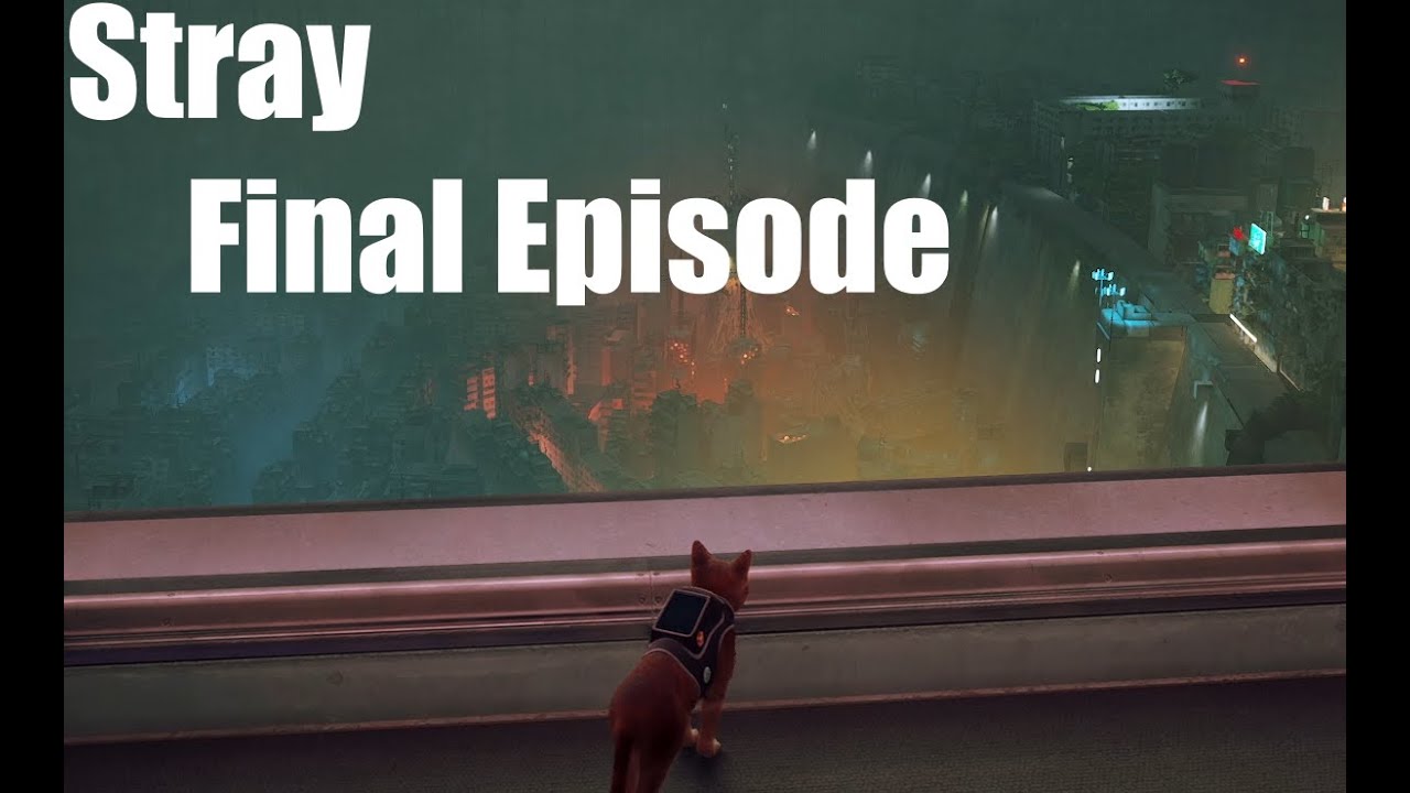 Stray - The Final Episode! - YouTube