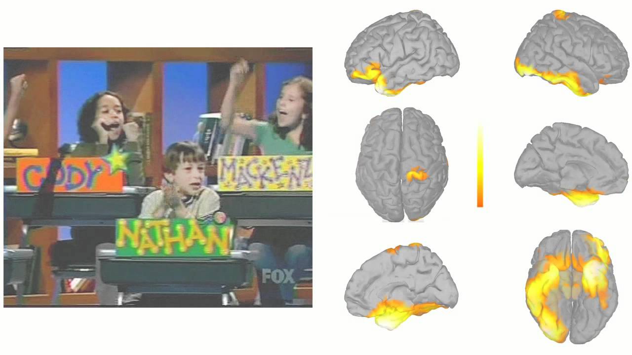 A Brain Watching TV - YouTube