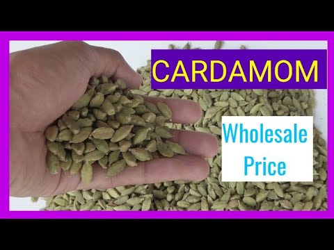 TODAY CARDAMOM PRICE - YouTube