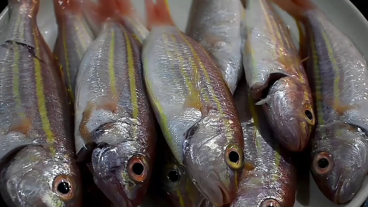 sagisi fish adobo recipe na masarap - YouTube