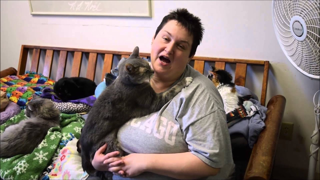 Pet Nation Renovation submission - Clowder House of St Louis MO - YouTube