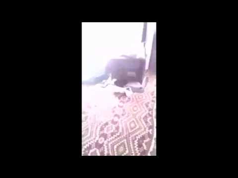 Komik Dede ve Nine [adam gelecek] Gülmek Garanti