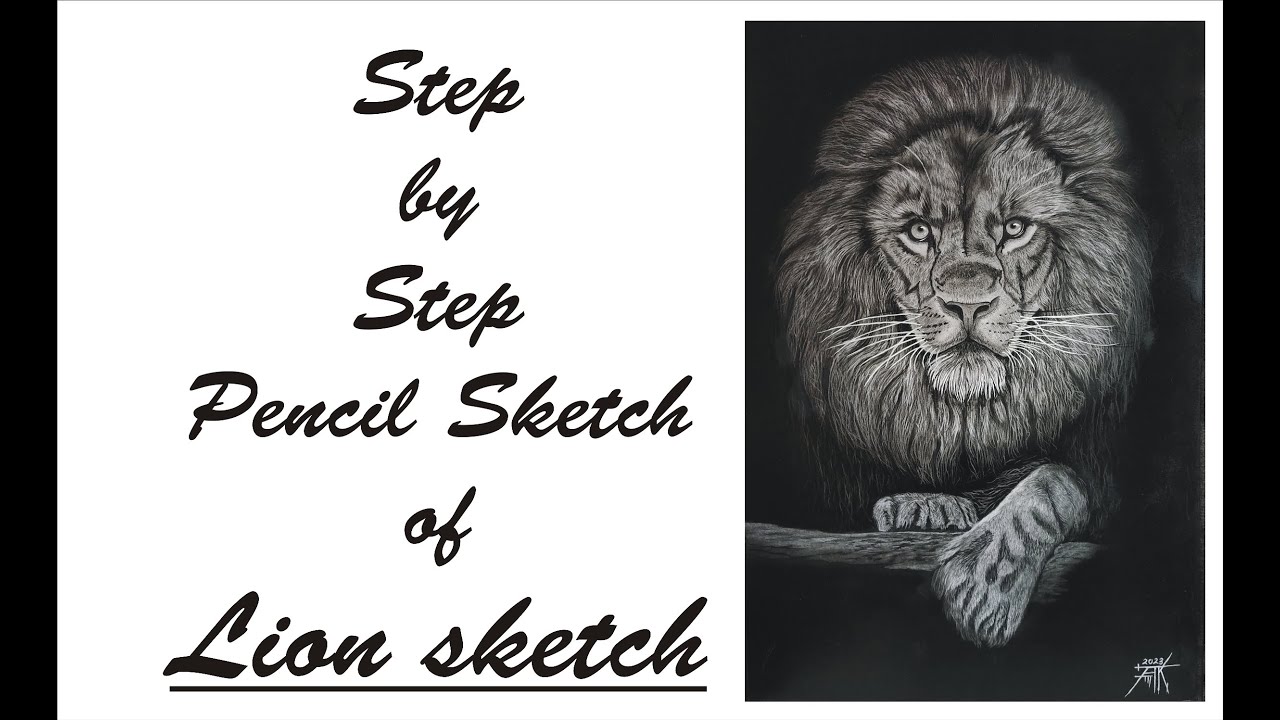 Realistic Pencil shading of lion - YouTube