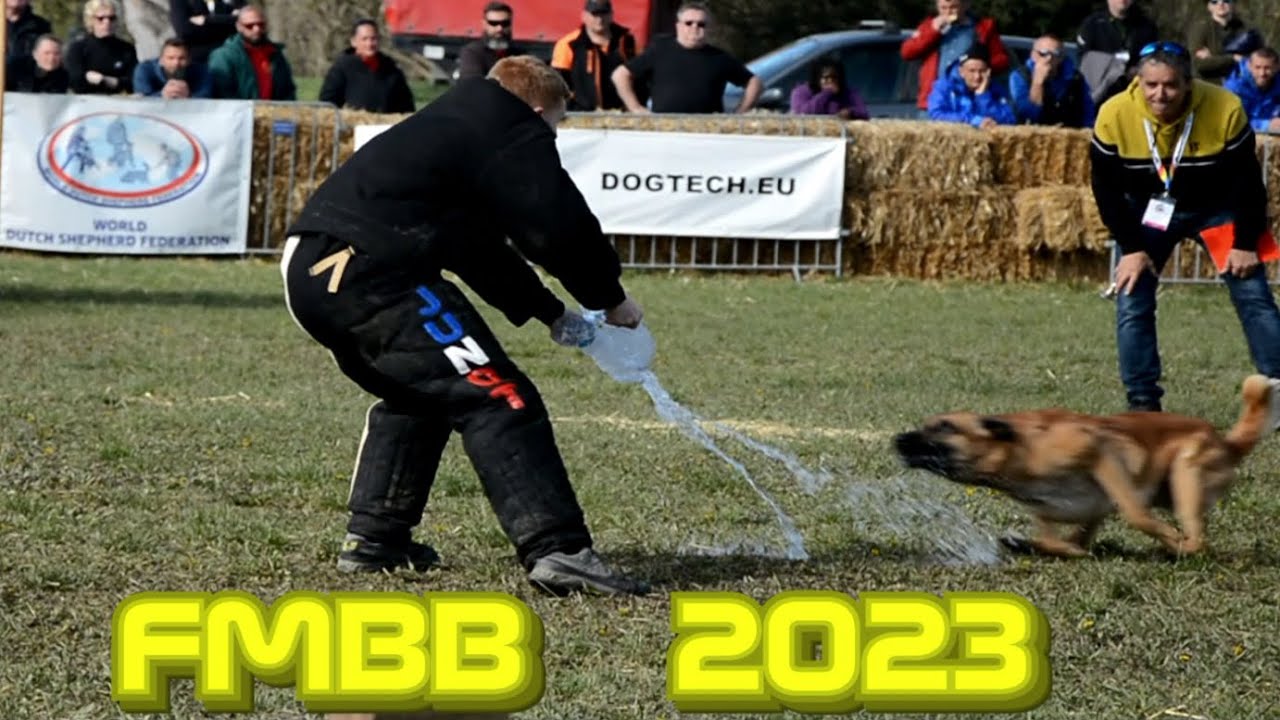 FMBB 2023 Mondioring - artifice cat. 3 - YouTube