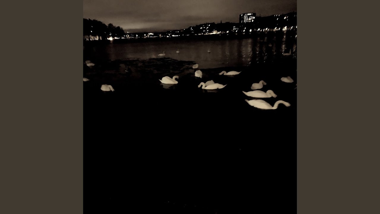 Moonlight Swim - YouTube