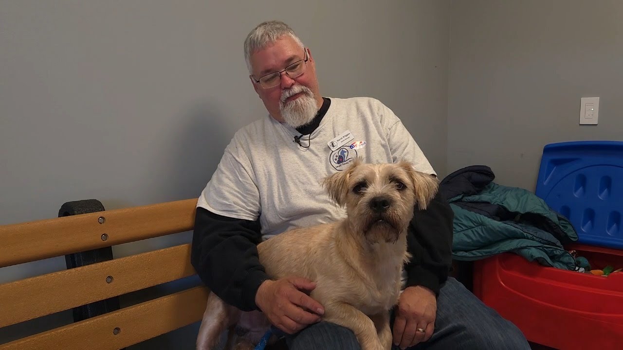 Meet Benji: Adorable Terrier Mix Ready for a Forever Home 🐾 - YouTube