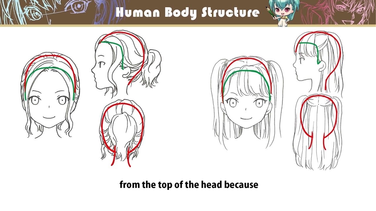 M1-1 Understanding Hair Flow Directions and Reflecting it in Drawings ...