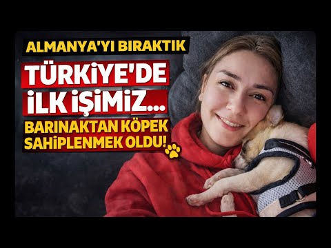 Almanya’yı Bıraktık… Türkiye’de İlk İşimiz Barınaktan Köpek Sahiplenmek Oldu! 🐾