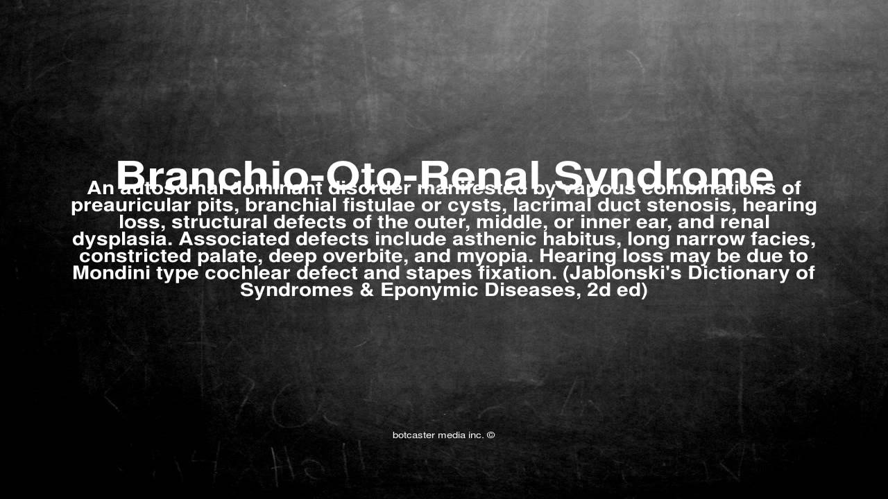 Medical vocabulary: What does Branchio-Oto-Renal Syndrome mean - YouTube