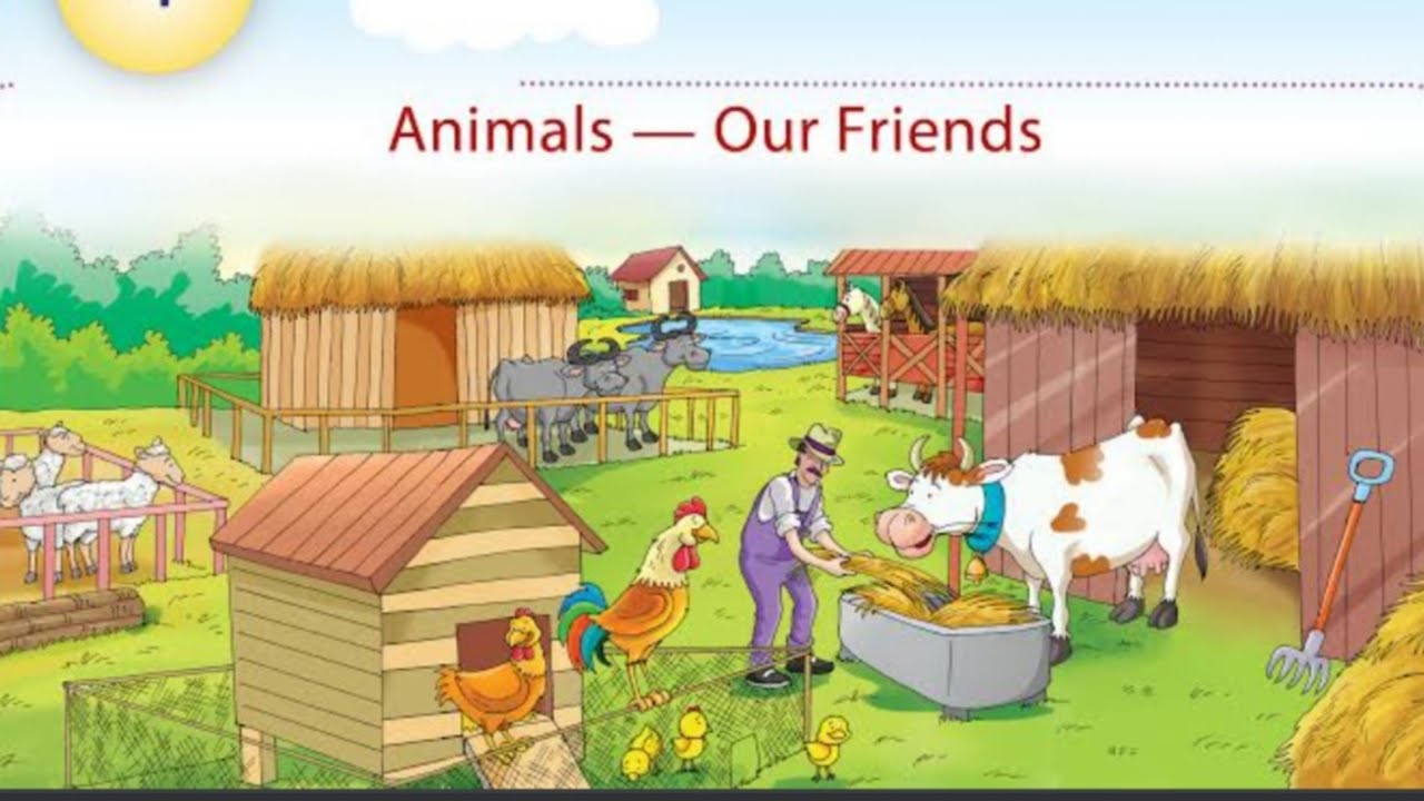 Chapter 12 || Animals our Friends || EVS || Class 2 || - YouTube