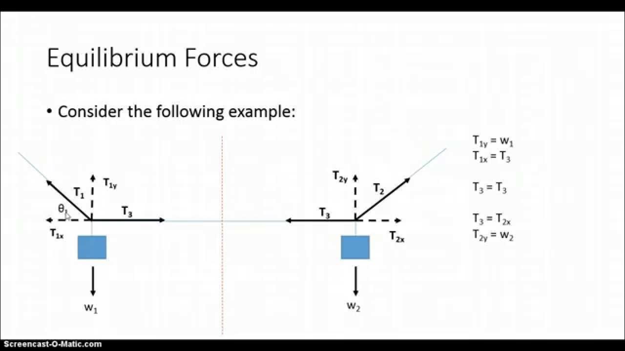 Equilibrium Forces - YouTube
