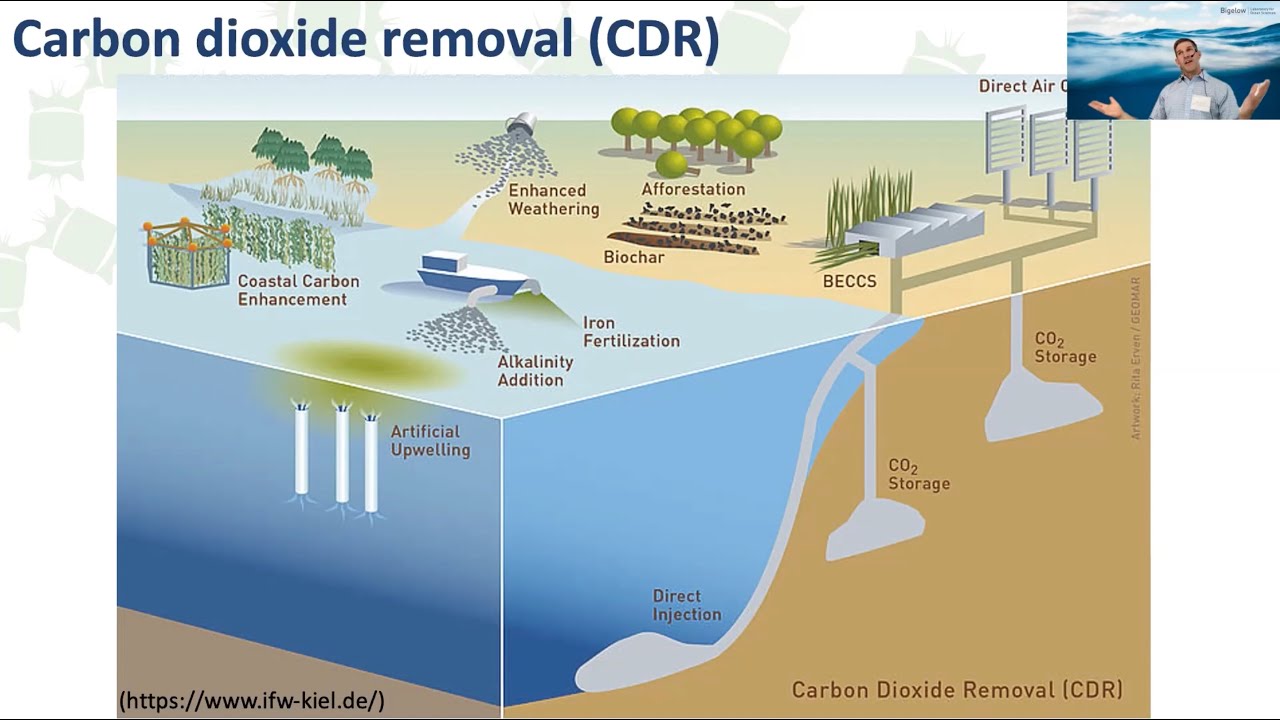 Café Sci – "Course Correction: Can Ocean CO2 Removal Reduce the Cost of ...