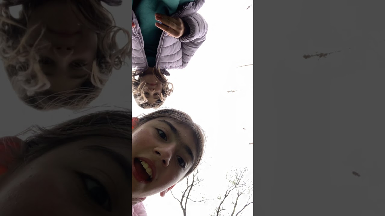Pov The Bug Youtube 1515