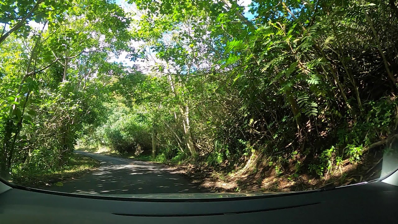 Tantalus Drive Tour - YouTube