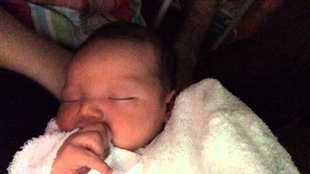 RUMI_1_150605_Day 1_Just born! - YouTube
