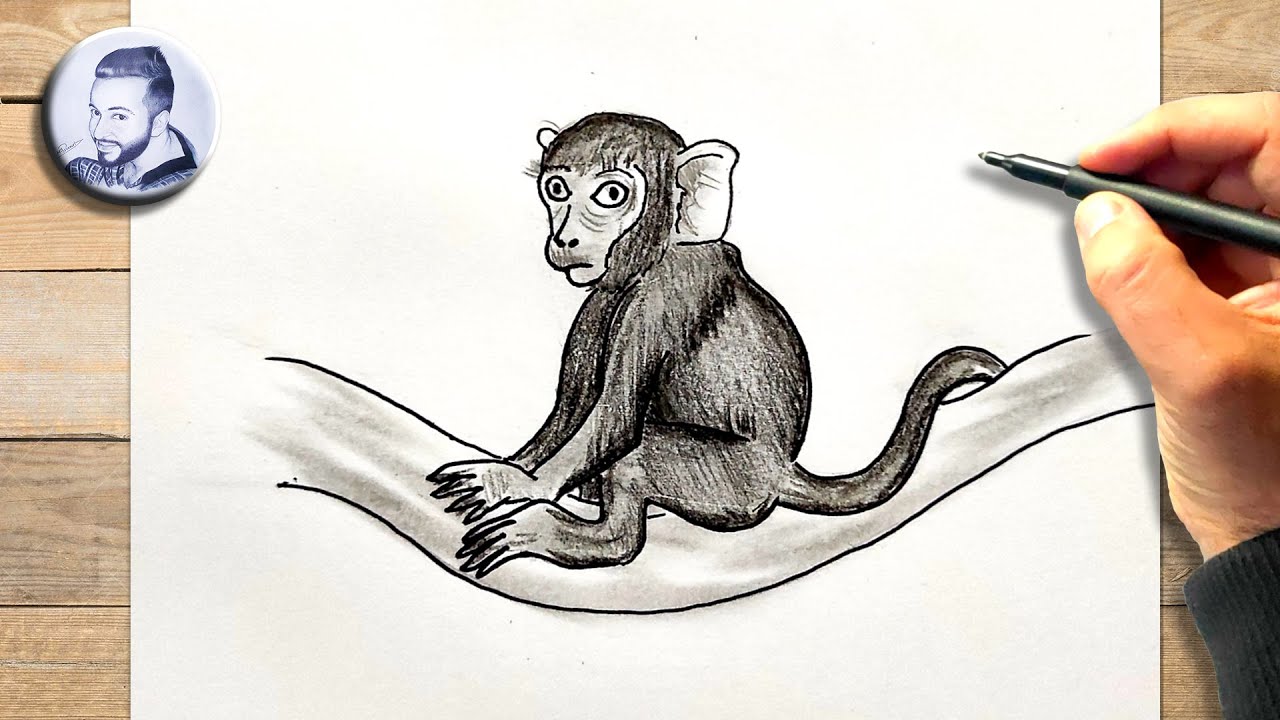 Comment dessiner un singe realiste facilement - YouTube