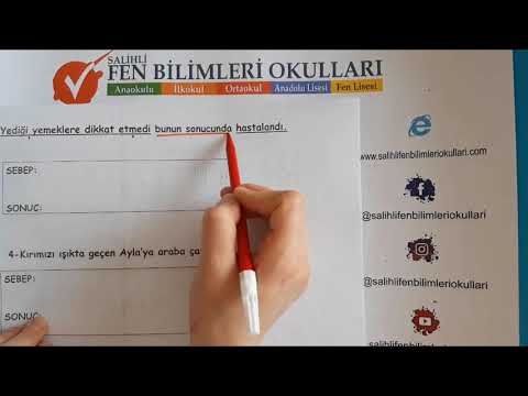 2.SINIF TÜRKÇE SEBEP SONUÇ CÜMLELERİ KAZANIM TESTİ