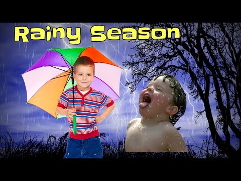 💥Rainy Season|Rainy Season For Kids|Creatures During Rainy Season|Short essay on rainy season #rain