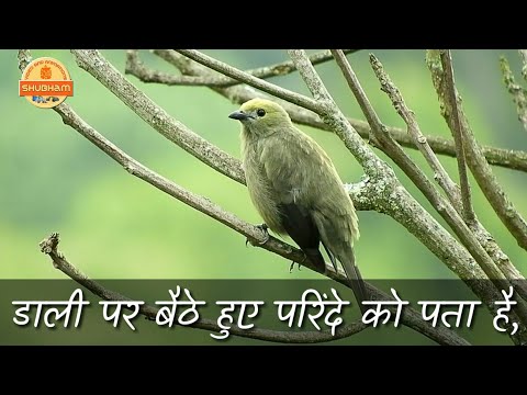 Good Morning Video Song || Whatsapp Status videos || Motivational Thoughts 2018