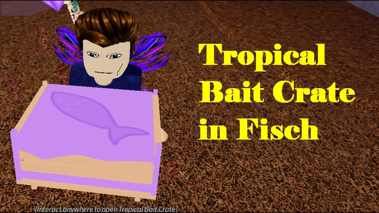 How to Get the Tropical Bait Crate in Fisch Roblox! (Easy Guide) - YouTube