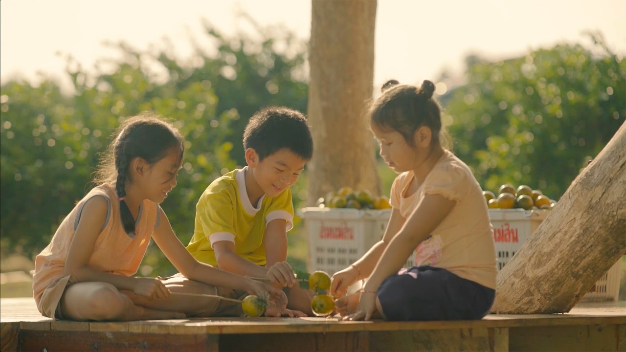 The Orange Land มากกว่าส้มคือความสุข - YouTube