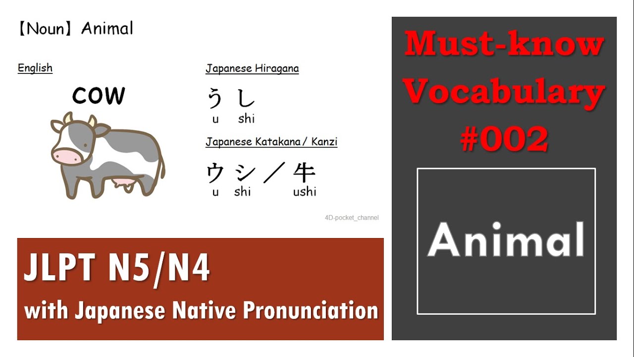 JLPT Learn and Listening Japanese; must-know vocabulary of Animal with ...