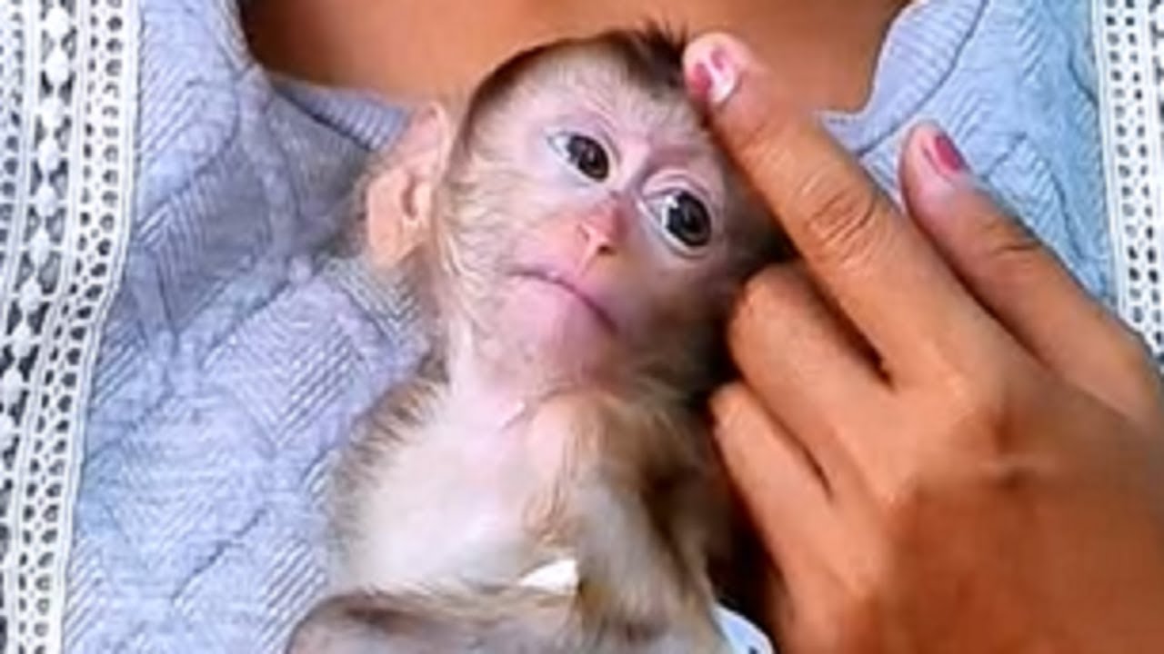 Charlie's eyes seem small on one side! From what - YouTube