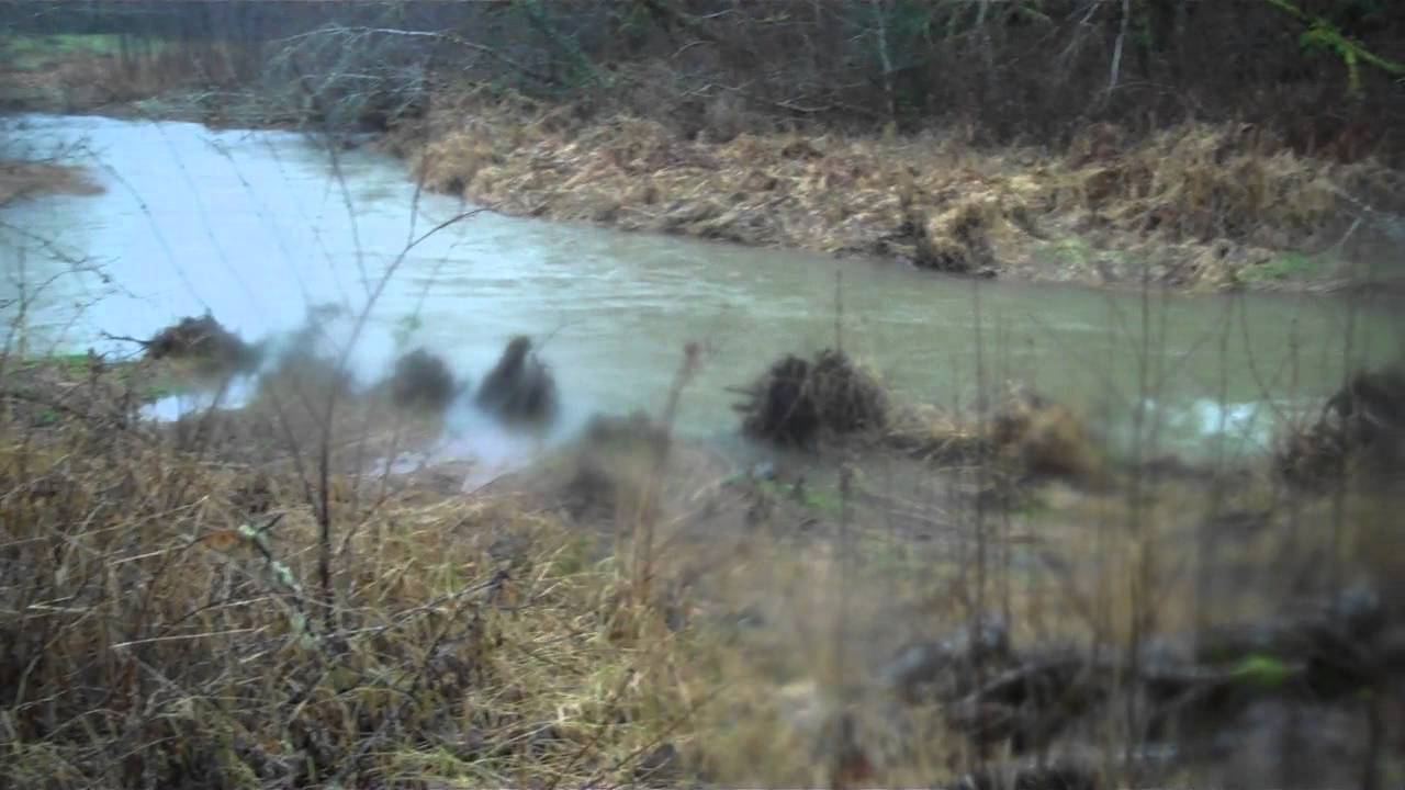 Grays River Flood Hull Rd Bridge 6 - YouTube
