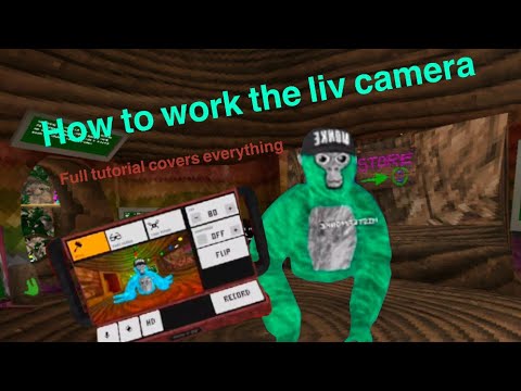 How to work the liv camera - YouTube