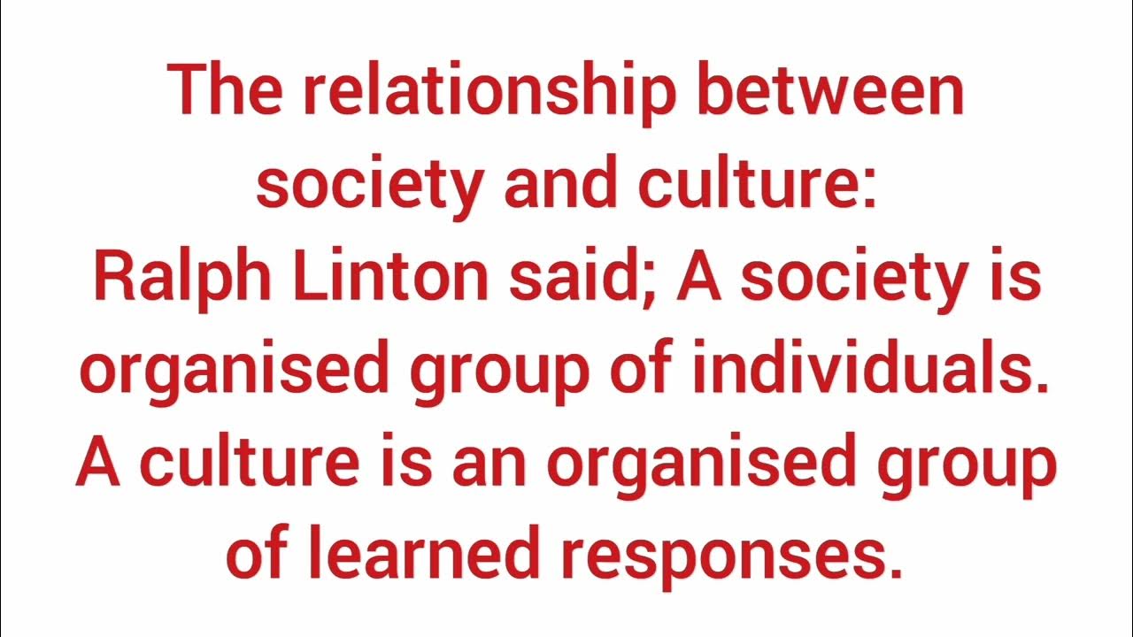 What is the difference between society and culture - YouTube