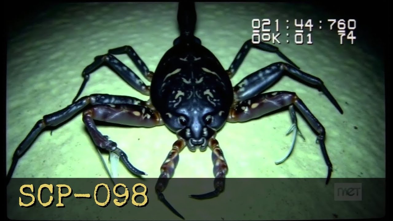 SCP-098 Surgeon Crabs - YouTube