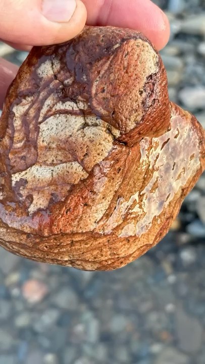 Vivid landscapes in this wonderscape stone ! #rockhound #tuff # ...