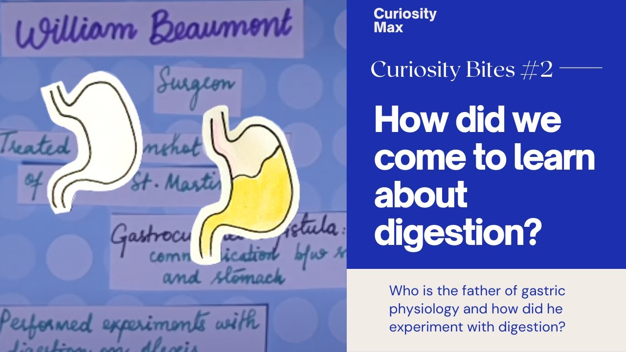 How did we learn about digestion?| Father of gastric physiology ...